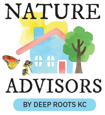 Nature Advisors - Deep Roots