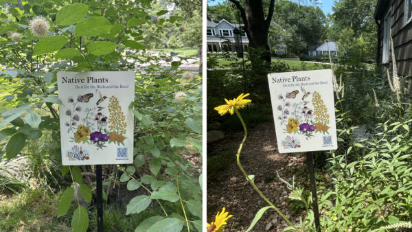Native Plant Garden Signs - Deep Roots