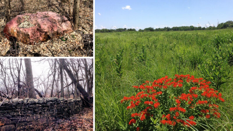 Take a Hike at Lexington Lake - Deep Roots