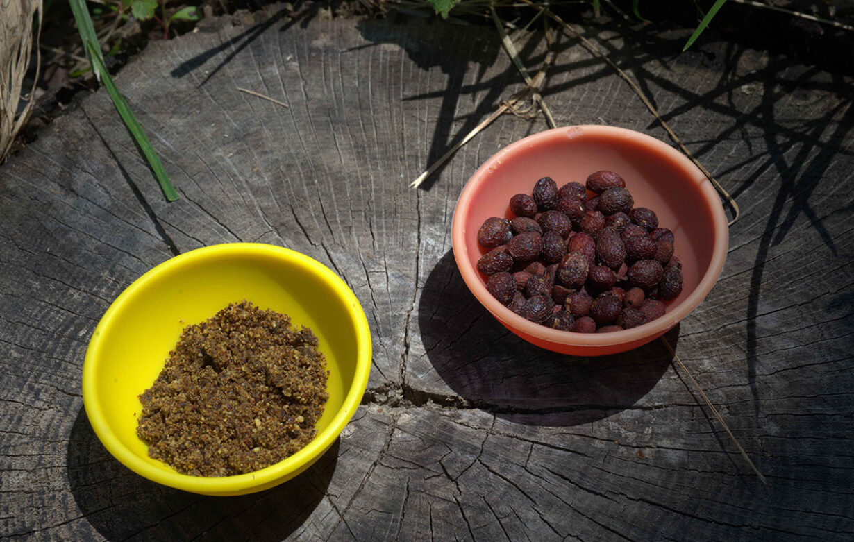 Garden-Grown Missouri Native Edibles for Fall Dining - Deep Roots