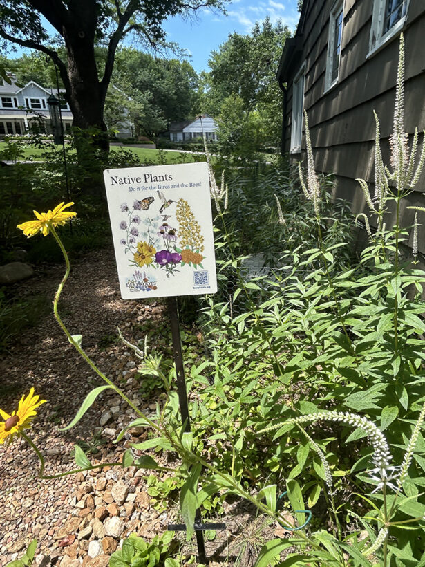 Deep Roots Native Garden Signs - Deep Roots