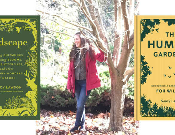 Plan It Native 2026 Registration Open! - Deep Roots