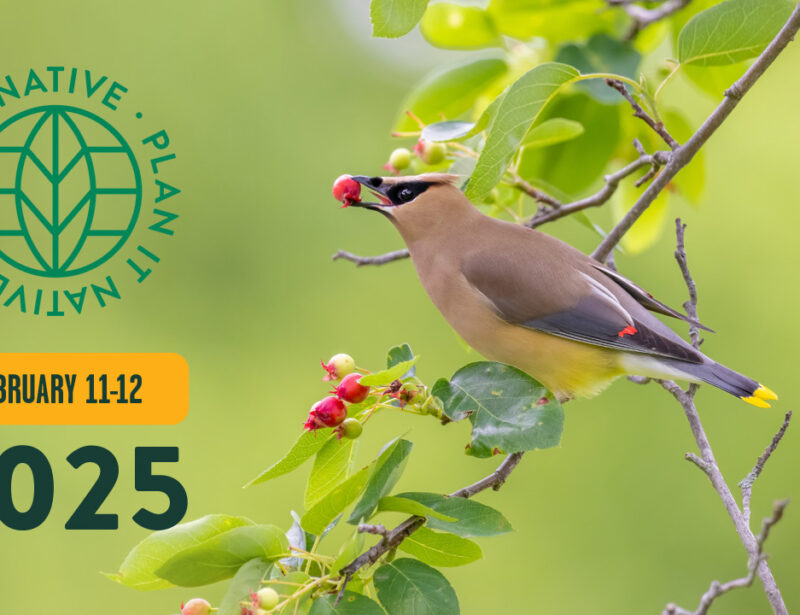 Plan It Native 2026 Registration Open! - Deep Roots