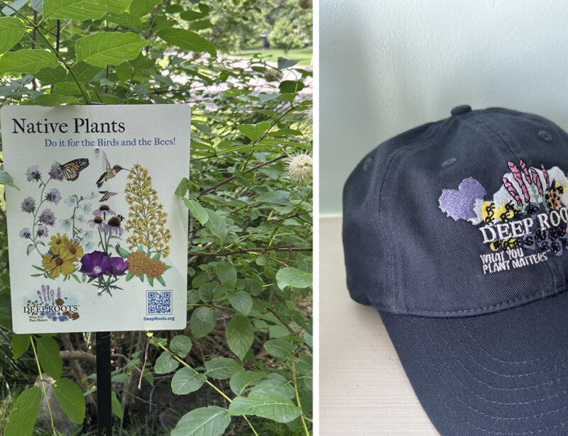 Plan It Native 2026 Registration Open! - Deep Roots