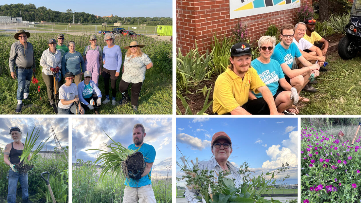 The Great Native Plant Heist Saves 1,032 Plants! - Deep Roots