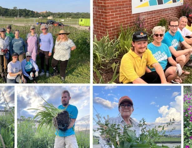 Interactive Native Garden Map - Deep Roots