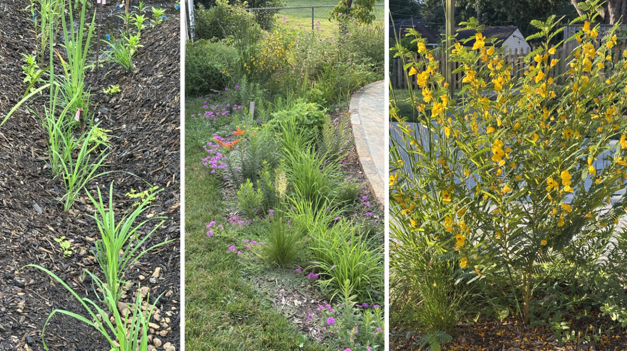 A Look Back on the Growing Season - Deep Roots