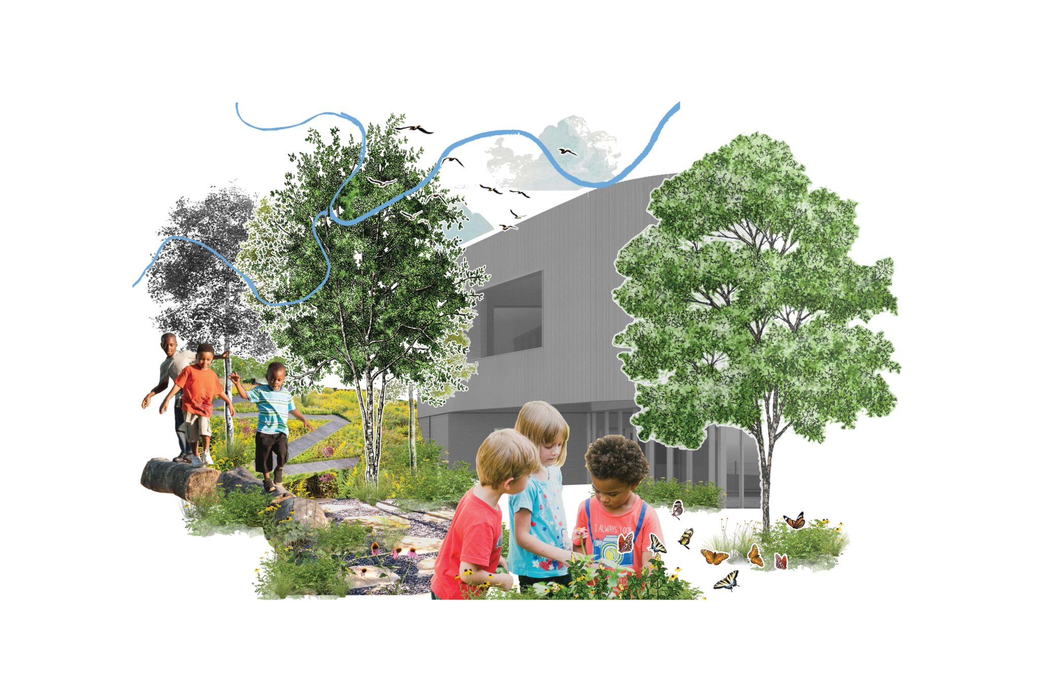 Healing Gardens with Native Plants: Curious by Nature webinar - Deep Roots